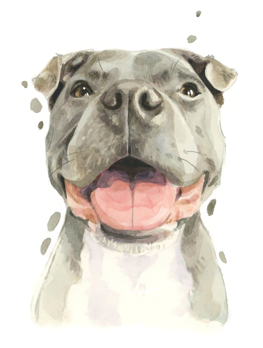 Staffordshire Bull Terrier All Occasion Card, Funny Staffy Staffie Bir ...