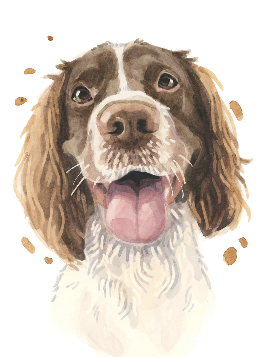 Spaniel All Occasion Card, Funny Dog Birthday Greeting Cards – Robert ...